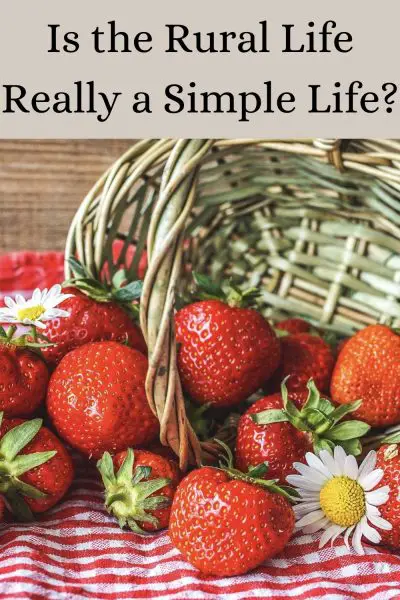Is the Rural Life Really a Simple Life?