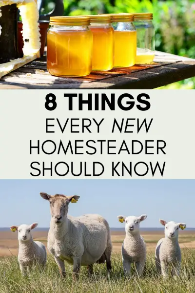 8 Things Every New Homesteader Should Know